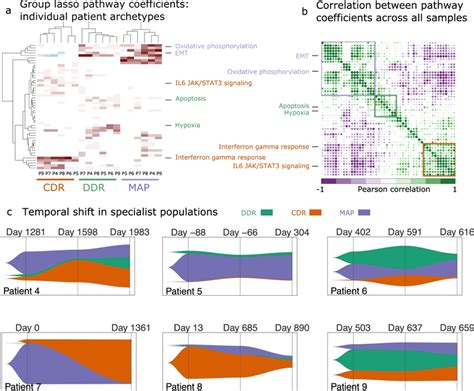 Archetype Evolution In Individual Patients A Hierarchical Clustering Of