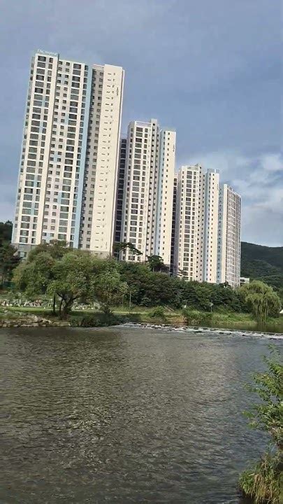 성남 분당 야탑 이매 서현 궁내 정자 수내 금곡 구미동 탄천 백지영 사랑안해 Shorts Youtube