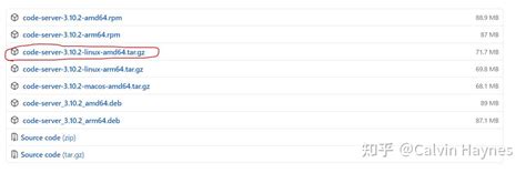 上课摸鱼必备 Vscode网页版的搭建教程 知乎