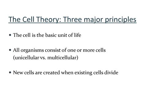 SOLUTION Module Cell Structure And Function Studypool
