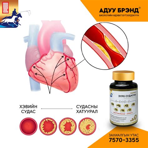 Адуу Брэнд Aduu Brand Ulaanbaatar