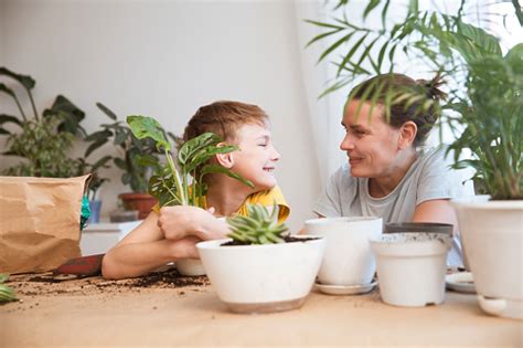 좋아하는 취미로 자유 시간을 보내십시오 삶의 개념입니다 화초재배 취미 여가 활동 개념입니다 엄마와 아이 소년은 집에서 집 꽃의 이식을 심습니다 2명에 대한 스톡 사진 및