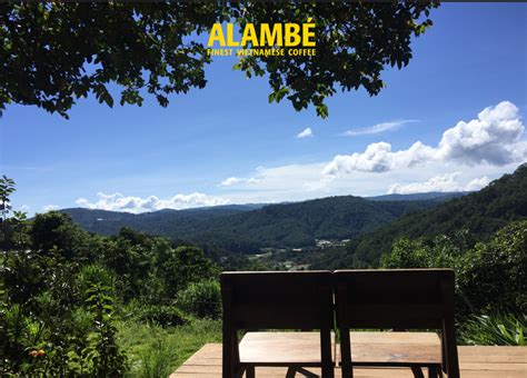 CÀ PhÊ TÚi LỌc AlambÉ ĐÀ LẠt