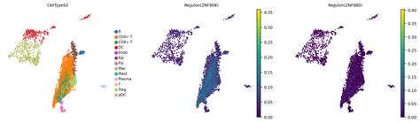 单细胞转录组实战06 Pyscenic转录因子分析（可视化） 腾讯云开发者社区 腾讯云