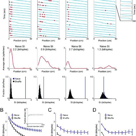 Limited Sample Sizes And Temporally Sparse Neuronal Activity Positively