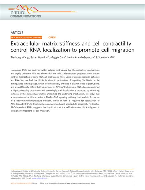 Pdf Extracellular Matrix Stiffness And Cell Contractility Control Rna Localization To Promote