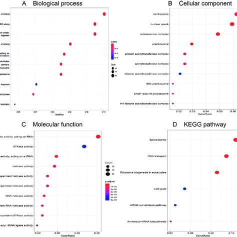 Go And Kegg Pathway Of Genes Relevant To Snhg4 In Hcc A Biological Download Scientific