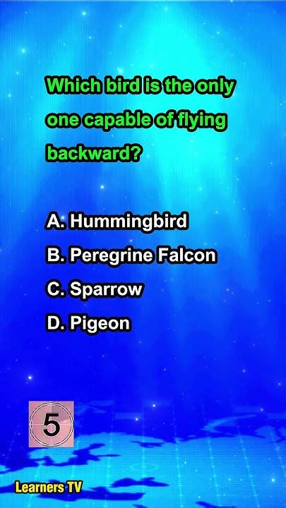 Which Bird Is The Only One Capable Of Flying Backward Learnerstv Youtubeshorts Quiz Youtube
