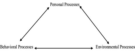 Model Of Reciprocal Interactions Download Scientific Diagram