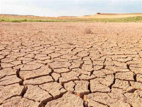 Usos De Suelo Y Cambio Climático