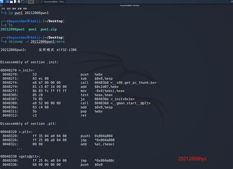 实践九 软件安全攻防 缓冲区溢出和shellcode 20212806胡云深 博客园