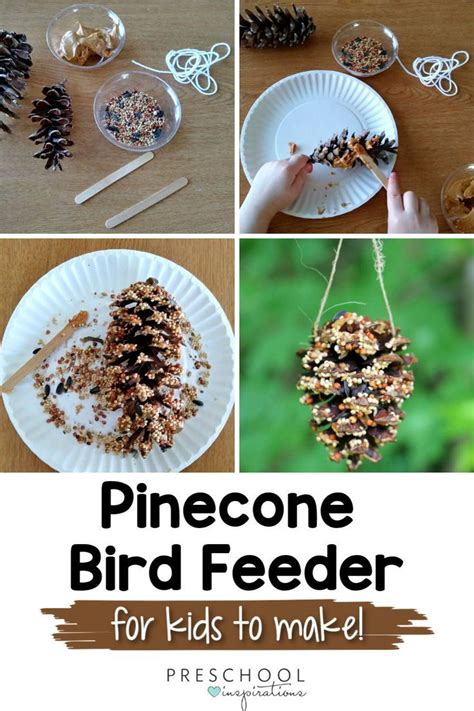 Pine Cone Bird Feeder Diy Product Feed Setup