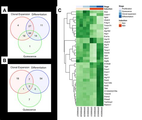 Differential Expression Of Autophagy Related Genes And Exons During Download Scientific Diagram