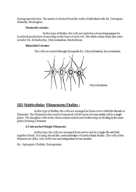Department Of Botany Girraj Govt College Range Of Thallus Structure In Algae