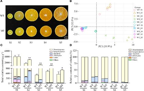 Figure 1 From Volatile Metabolomics And Transcriptomics Analyses