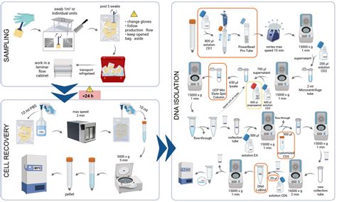 Improved Sampling And Dna Extraction Procedures For Microbiome Analysis In Food Processing