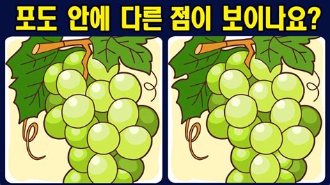 다른그림찾기 집중력과 인지력이 향상되는 다른그림 3개 찾기 두뇌훈련 퀴즈 Find Difference 100세 두뇌 치매