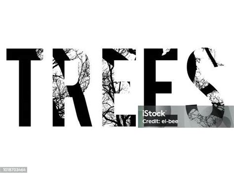 그래픽 텍스트 채우기도 나무와 함께 굵은 텍스트로 단어 나무와 흰색 배경 0명에 대한 스톡 사진 및 기타 이미지 0명 개체 그룹 검은색 Istock