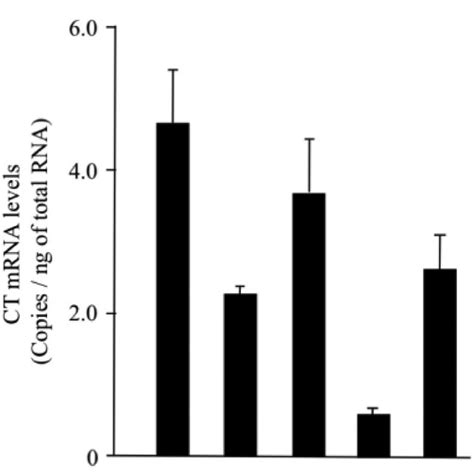 Tissue Distribution Of Ct Mrna In Adult Hens Total Rna Obtained From