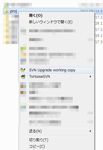 Subversionwindowsで使うtortoisesvn Doldoworkz