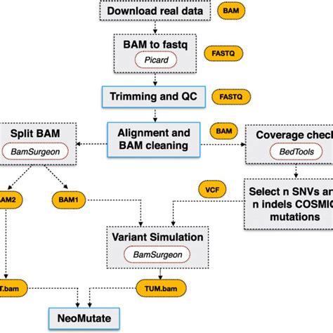 In Silico Variant Simulation Workflow On Real Data Using Bamsurgeon