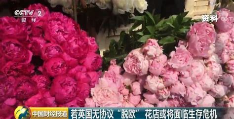 其实不想走，其实我想留200万英国人请愿反悔脱欧！议会网站多次崩溃