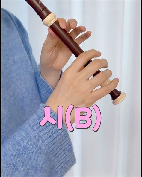 리코더에 180도 돌아봐요♪ 시 B 기본 음계 운지법 소프라노 리코더 리코더 리코더운지 리코더음계 Recorder Youtube