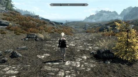 Freezing During Game Play Page 2 Skyrim Technical Support Loverslab
