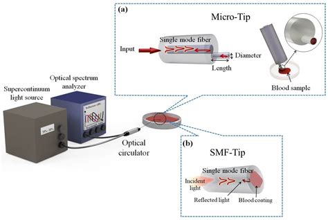 Fabry Perot Interferometric Fiber Optic Sensor For Rapid And Accurate Thrombus Detection