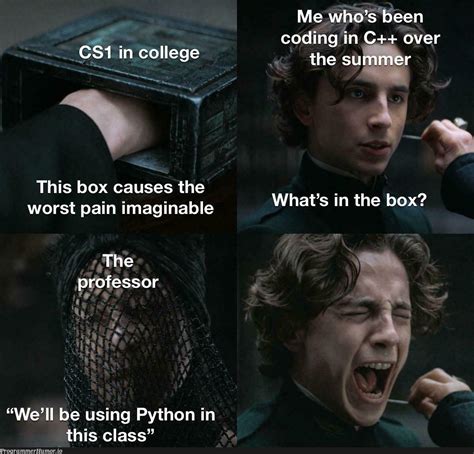Python You Said ·