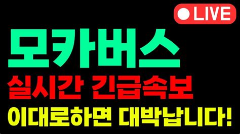 모카버스 코인전망 🚨긴급호재 떴다🚨💎실시간 목표가 공개💎영상 필수시청 모카버스코인 모카버스코인호재 모카버스코인전망 유엑스링크 비토르토큰 소닉svm 도지코인