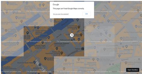 Google Maps Custom Marker Codesandbox
