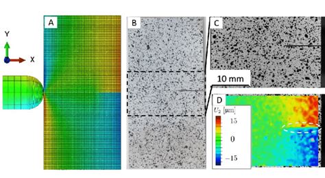 A Discretized Finite Element Model With Overlay Of Displacement