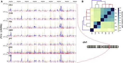 Recombination Rate Estimates Across Distant Human Populations A
