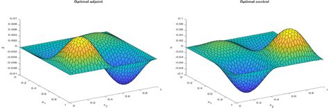 The Optimal Adjoint And The Optimal Control For Example Ii Download