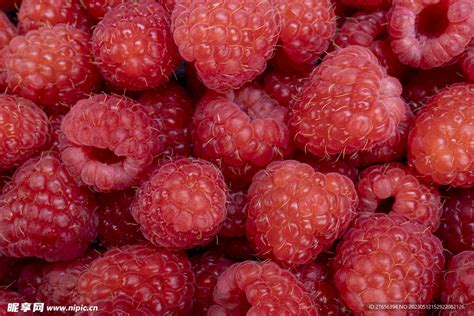 树莓 摄影图食物原料餐饮美食摄影图库昵图网