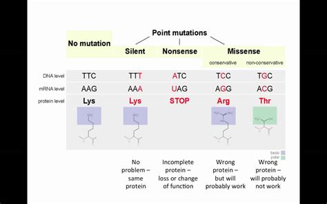 Neutral Mutation