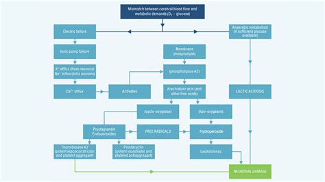 Ppt Pathogenesis Of Stroke Ischemia Hemorrhage