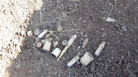 Clearing Land Mines May Cause Lasting Environmental Damage Study Says