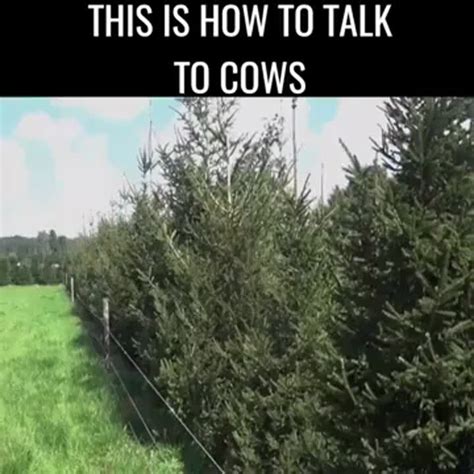 Drjoshua Seun Ajayi Posted On Linkedin