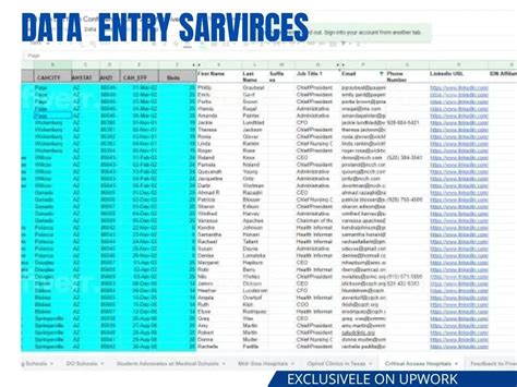 Do Data Entry Excel Scraping Typing Work Upwork
