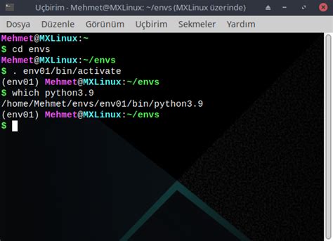 python programlama