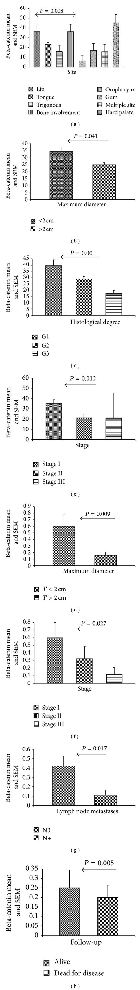 Persistent Detection Of Membranous Staining For Beta Catenin Ad