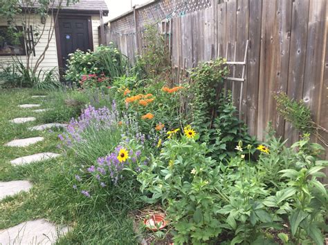 Stories From The Pollinator Patch 3 Hamilton Pollinator Paradise