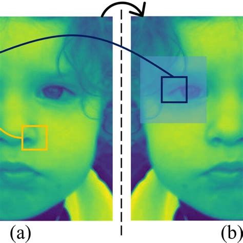 Illustration Of The Self Assembly Operation A Feature Map In The Download Scientific Diagram Illustration Of The Self Assembly Operation A Feature Map In The Download Scientific Diagram