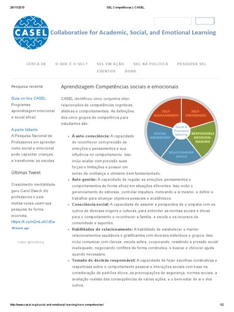 Sel Competências Casel Emoções Autoajuda