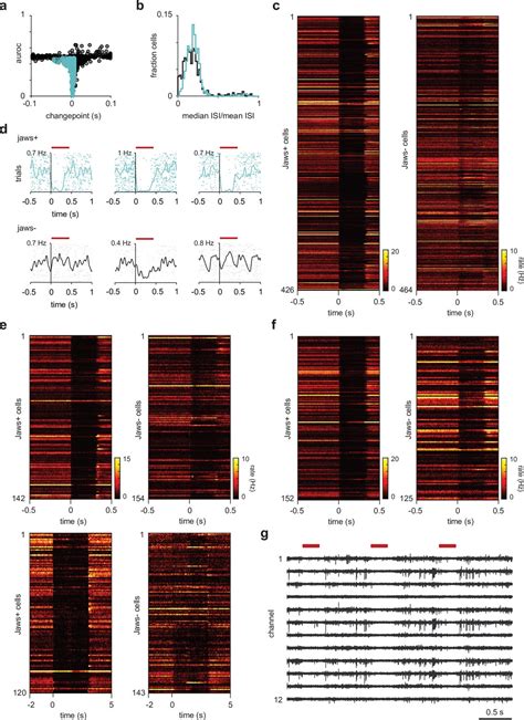 Figures And Data In Parallel Processing By Distinct Classes Of