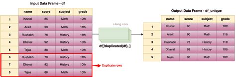 How To Remove Duplicate Rows From Dataframe In R