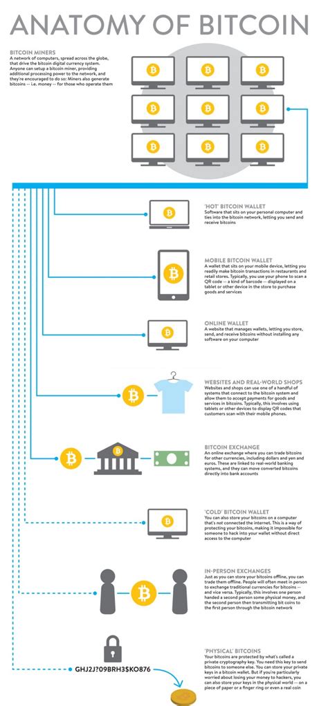 Anatomy Of Bitcoin Infographic Best Infographics
