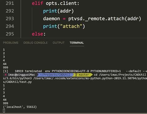 Starting Debugger Has 70 85 Chances Stuck Issue 1993 Microsoft Ptvsd GitHub